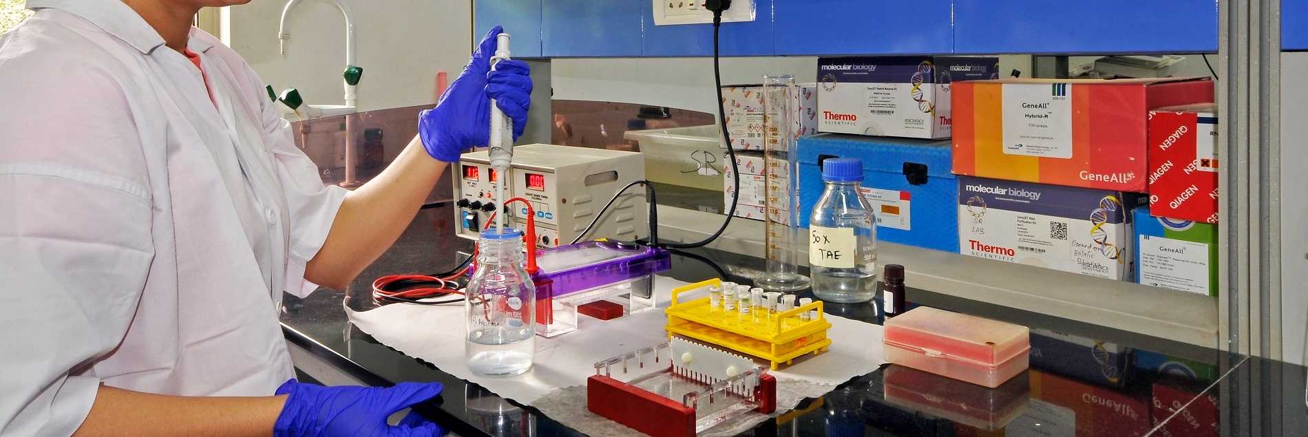 INSTITUTE OF SCIENCE - Institute of Science